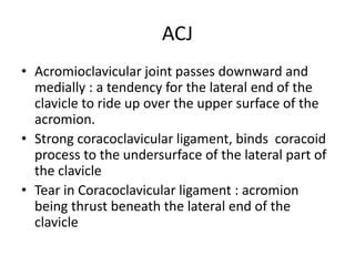 Applied anatomy Of Upper Limb | PPTX