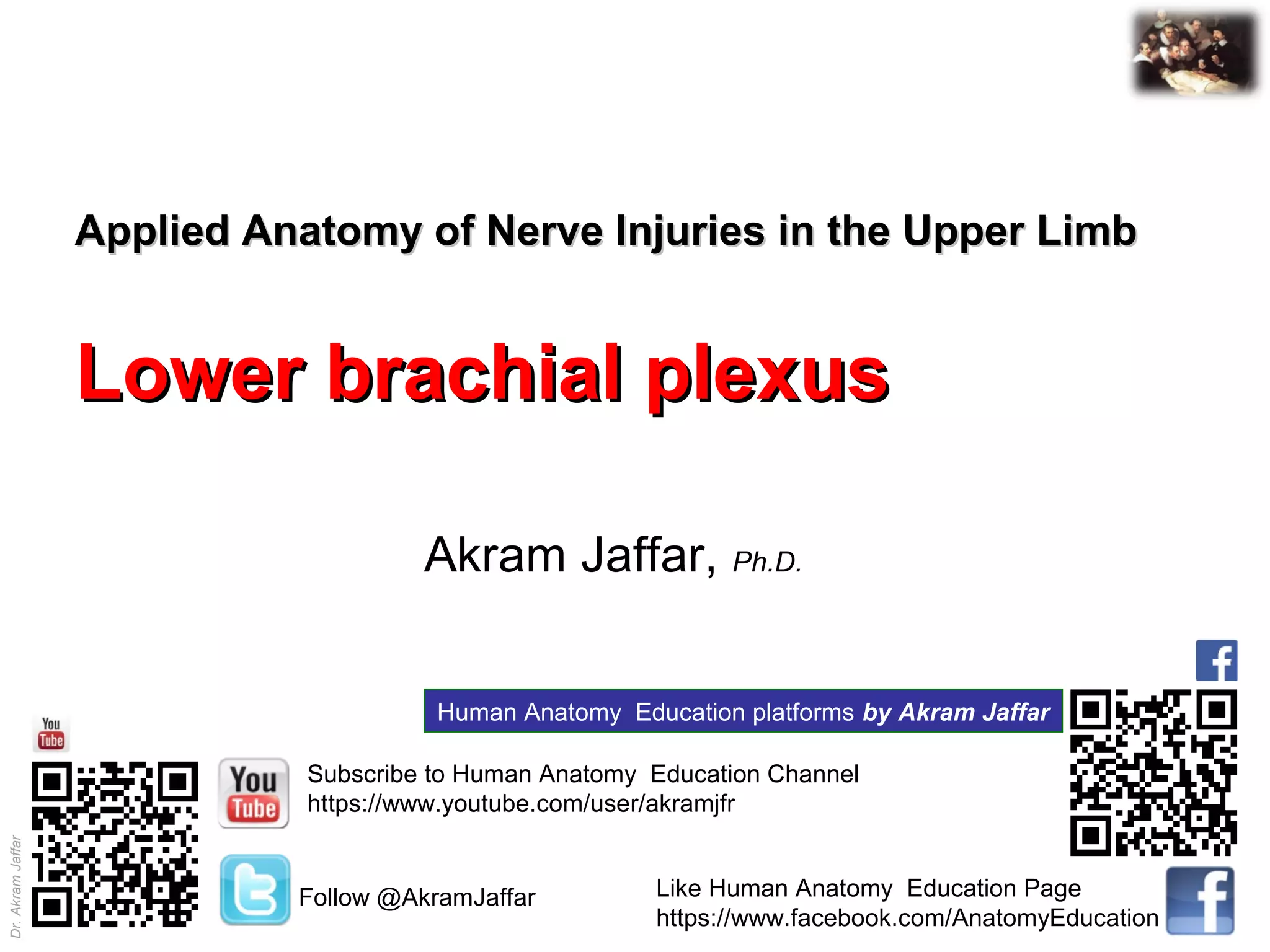 Applied anatomy lower brachial pleuxs injury | PPT