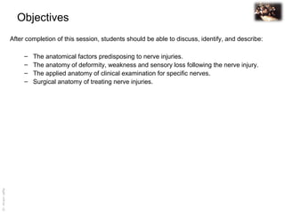 Applied anatomy sciatic nerve injury | PPT