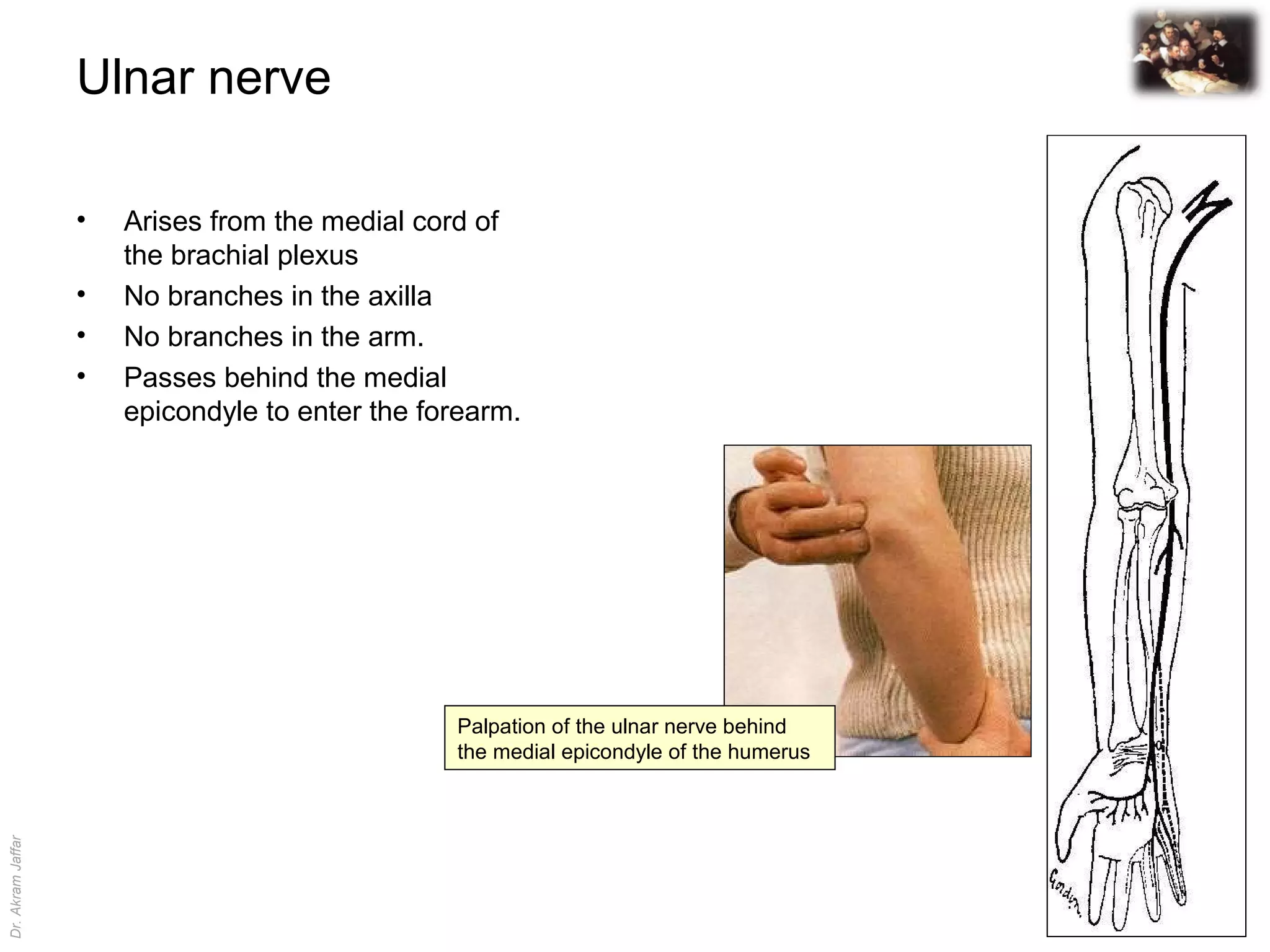 Applied anatomy ulnar nerve injury | PPT