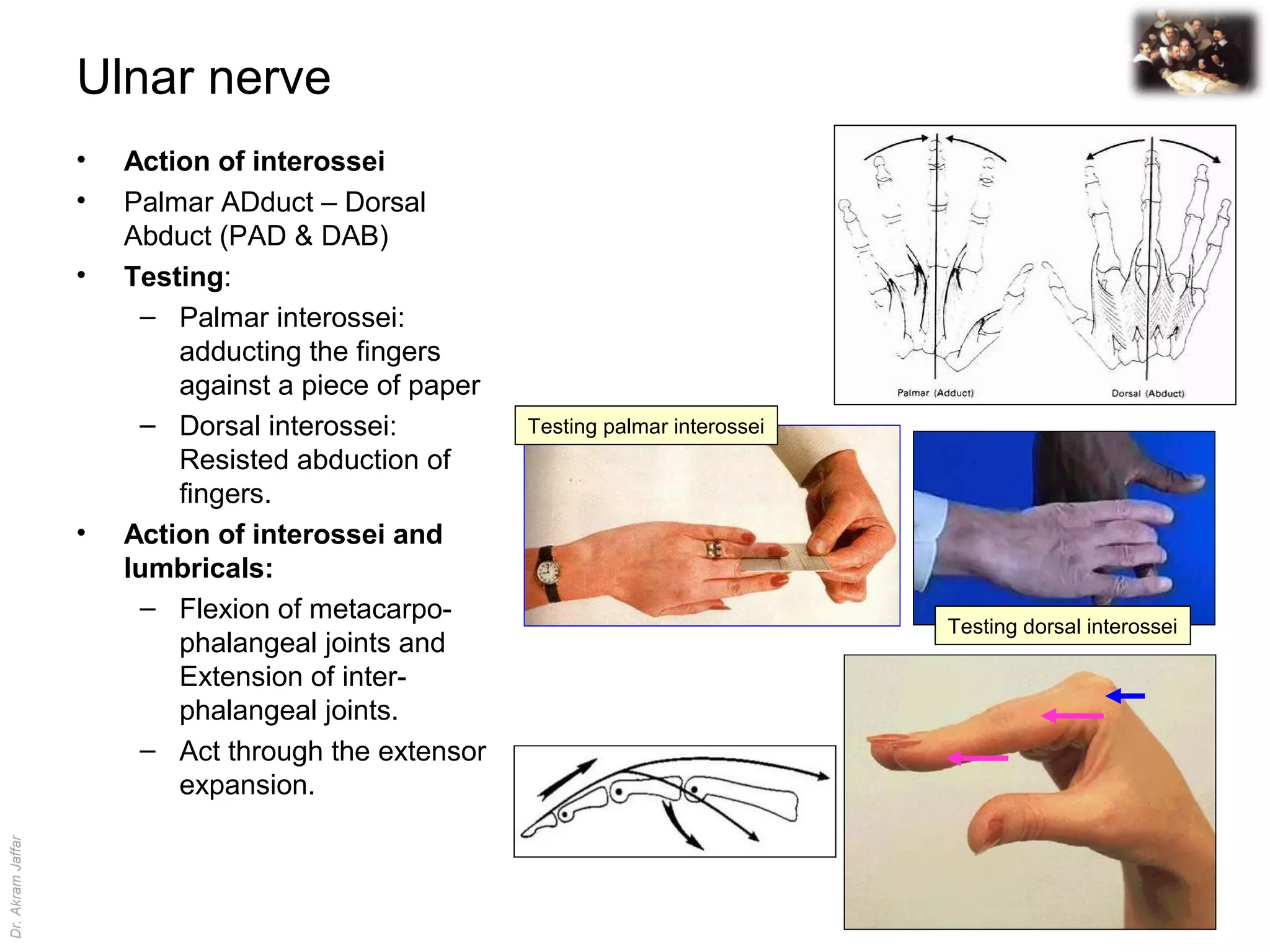 Applied anatomy ulnar nerve injury | PPT