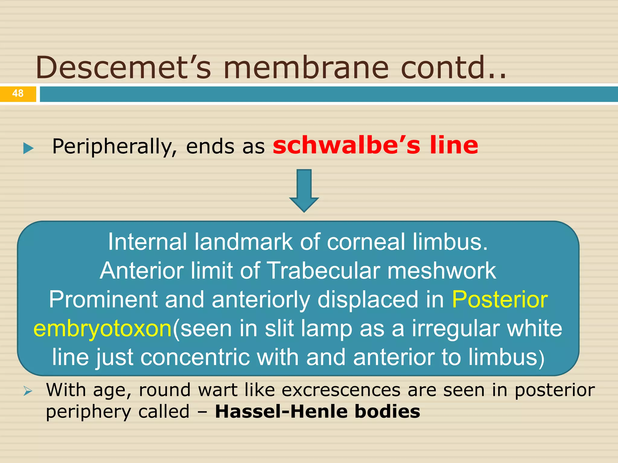 Applied anatomy and physiology of cornea | PPTX
