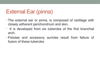 Applied Anatomy and physiology of Ear.pptx