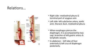 Applied anatomy and physiology of Esophagus .pptx
