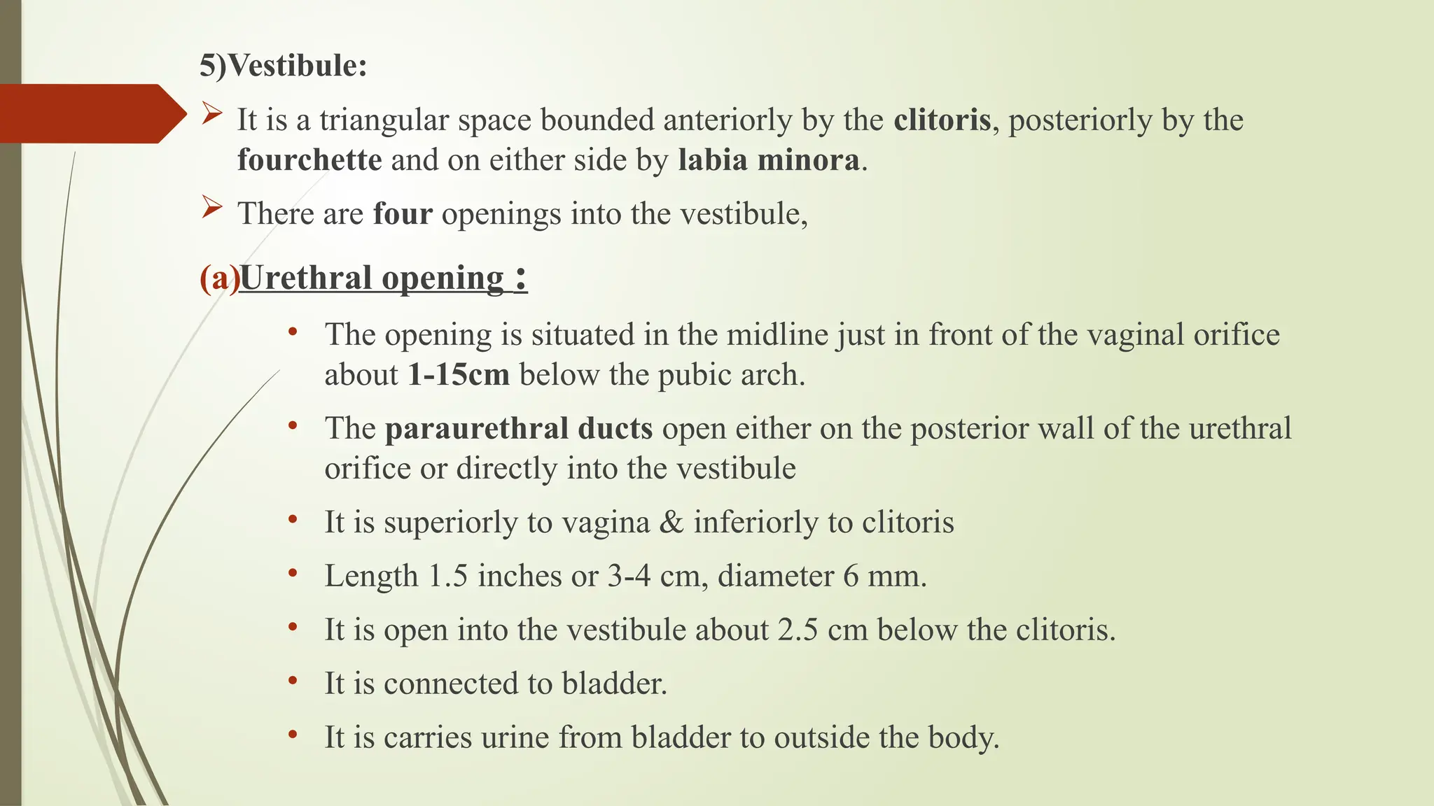 APPLIED ANATOMY AND PHYSIOLOGY OF FEMALE REPRODUCTIVE SYSTEM.pptx
