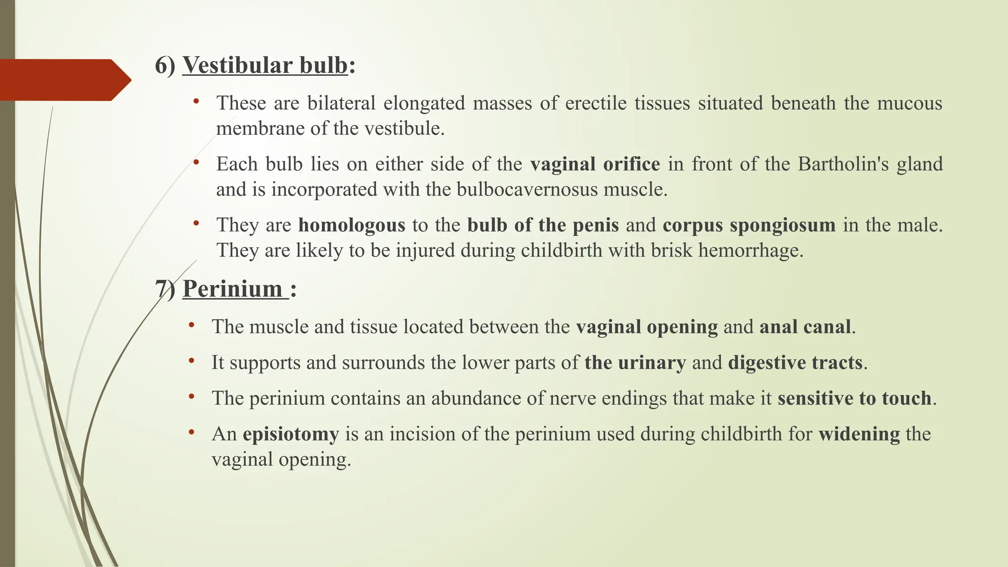 APPLIED ANATOMY AND PHYSIOLOGY OF FEMALE REPRODUCTIVE SYSTEM.pptx