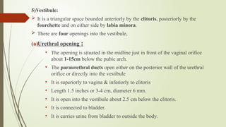 APPLIED ANATOMY AND PHYSIOLOGY OF FEMALE REPRODUCTIVE SYSTEM.pptx