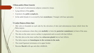 APPLIED ANATOMY AND PHYSIOLOGY OF FEMALE REPRODUCTIVE SYSTEM.pptx