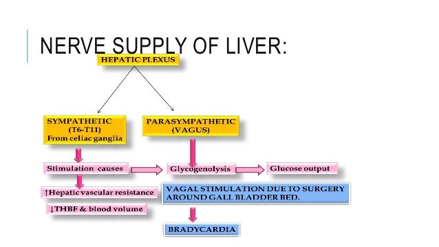 Applied anatomy and physiology of liver