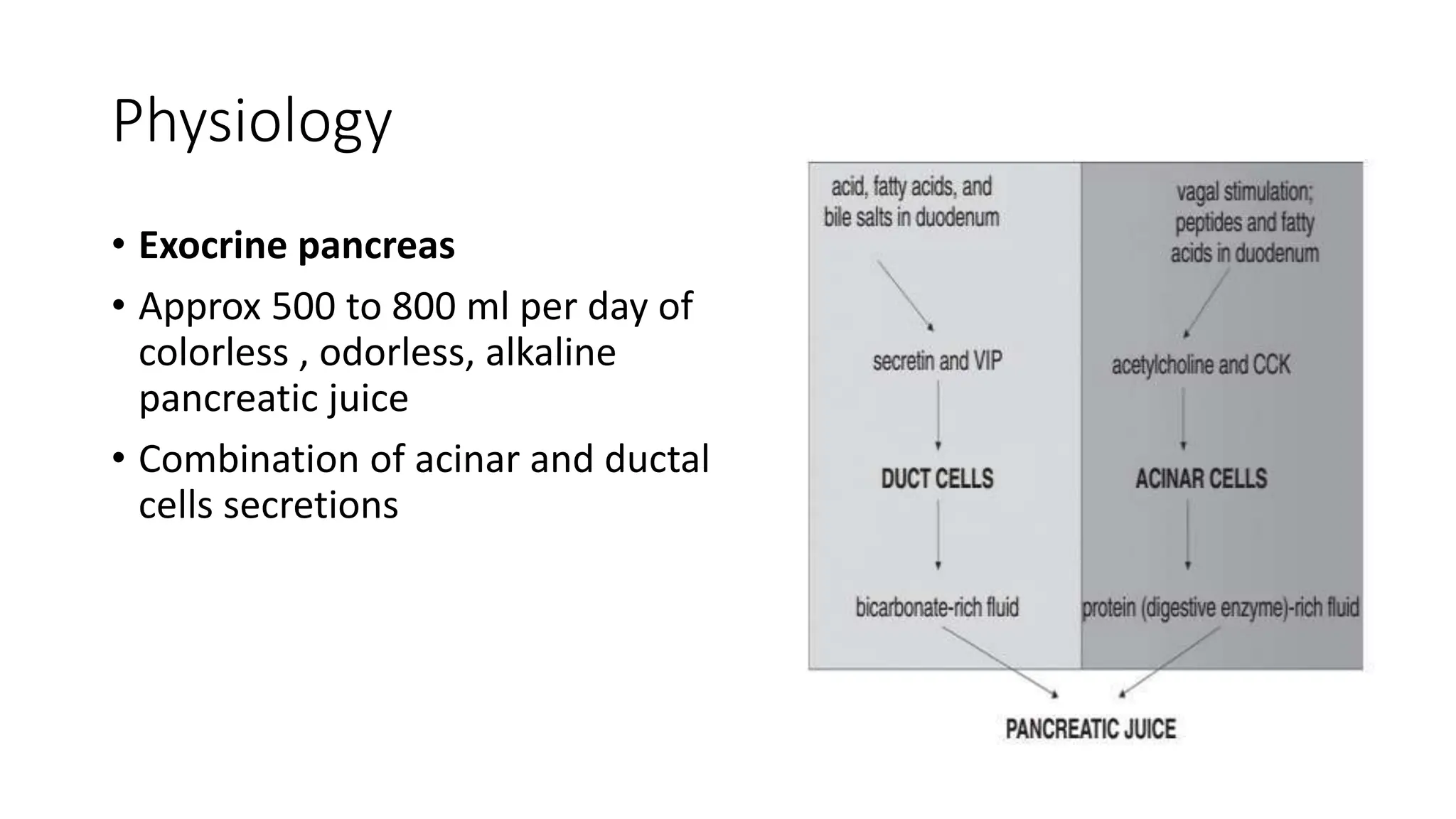 Applied anatomy and physiology of pancreas and spleen.pptx