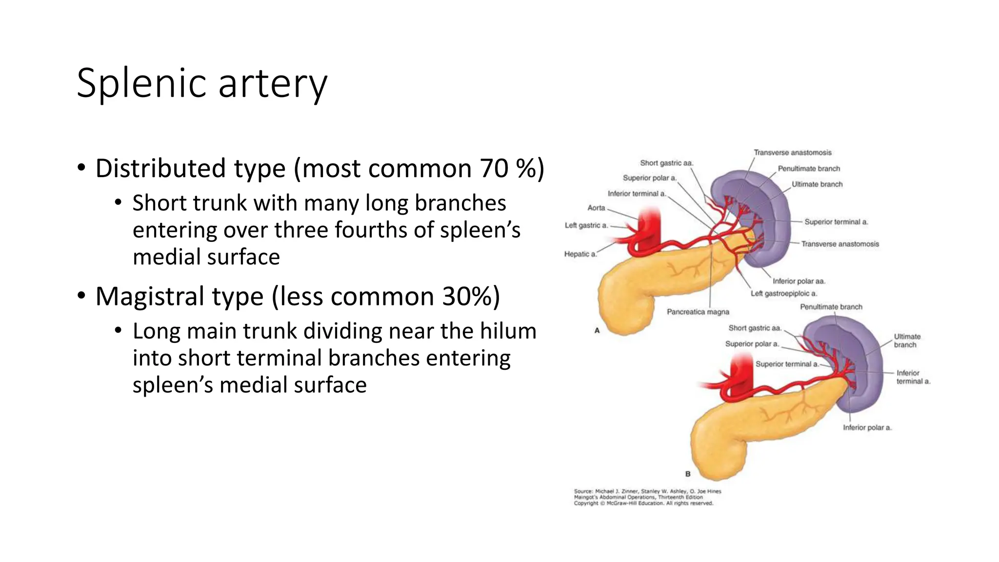 Applied anatomy and physiology of pancreas and spleen.pptx | Pregnancy | Reproductive Health