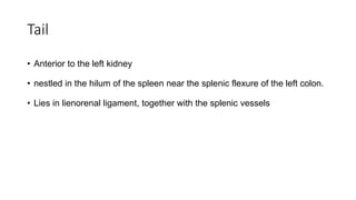 Applied anatomy and physiology of pancreas and spleen.pptx