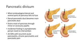 Applied anatomy and physiology of pancreas and spleen.pptx