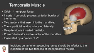 Applied anatomy for dental implants - Dr Smijal Gopalan Marath ...
