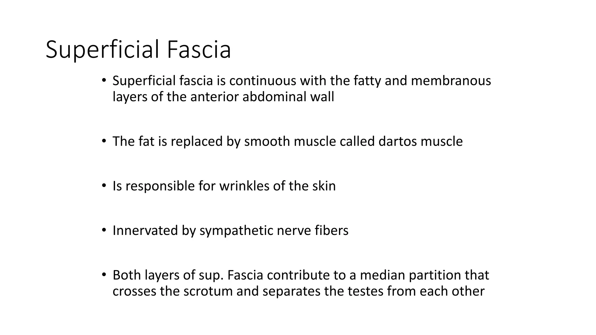 Applied anatomy in inguinoscrotal swelling | PPTX | Death, Injury, or ...