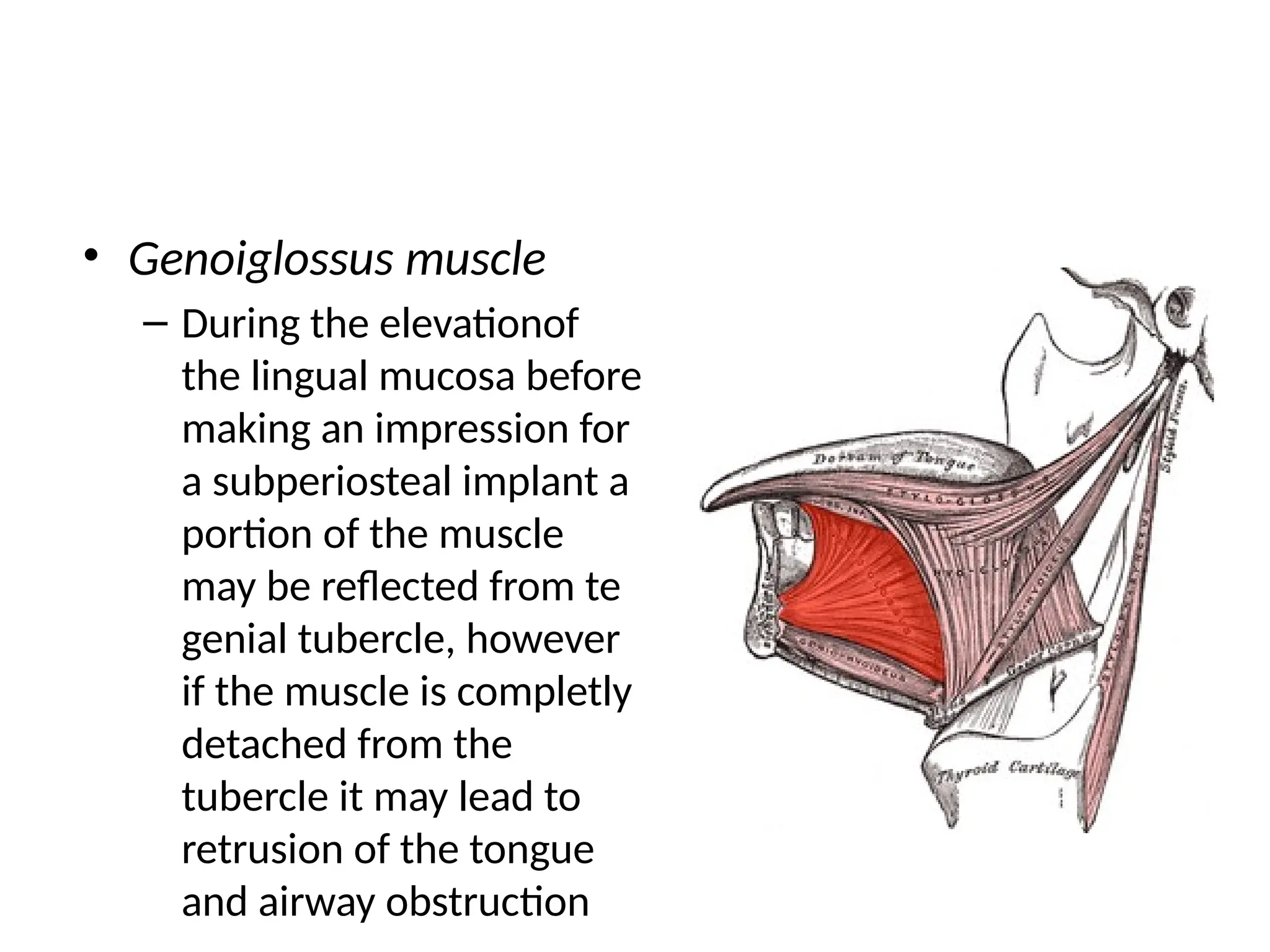applied anatomy maxilla and mandible.pptx