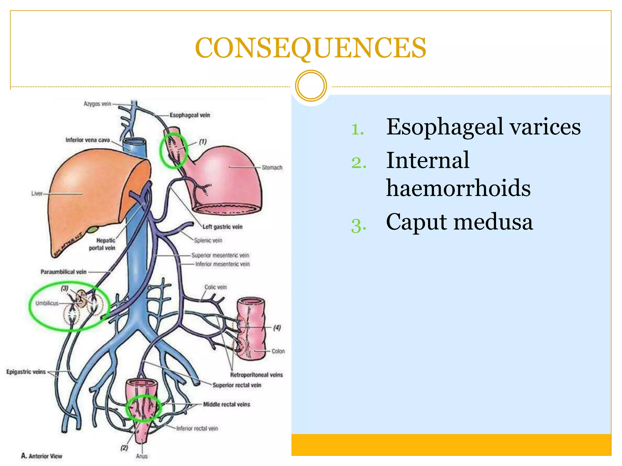 Applied anatomy of portal circulation | PPTX