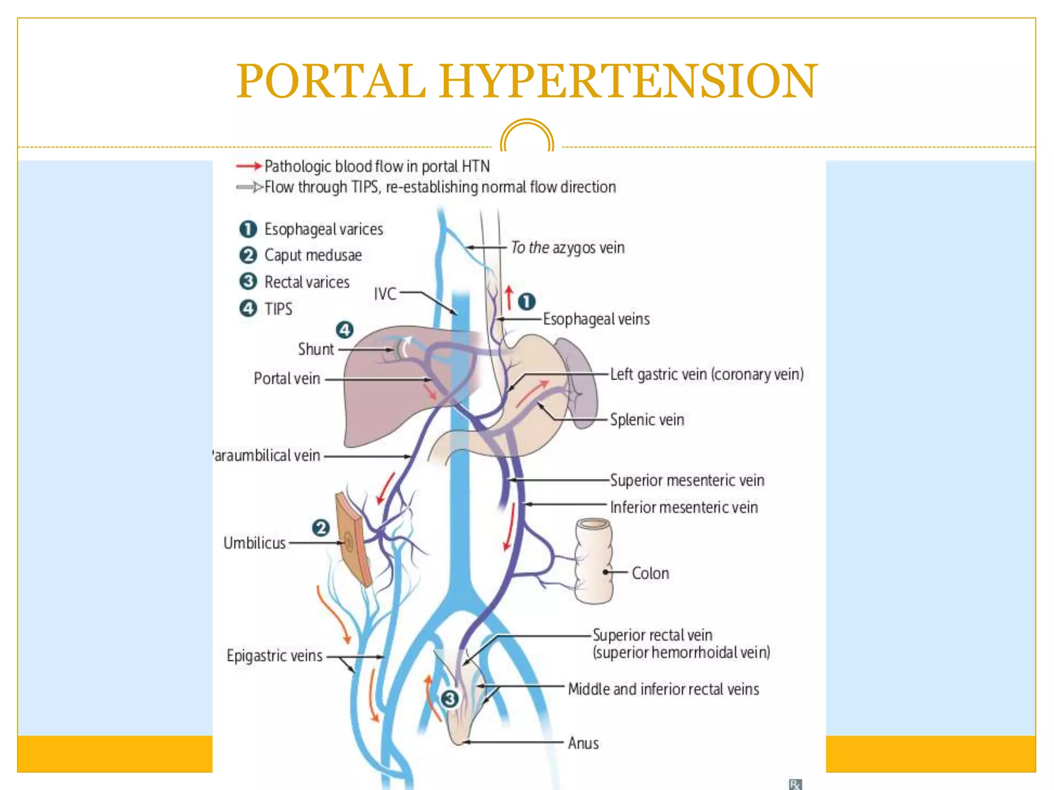 Applied anatomy of portal circulation | PPTX