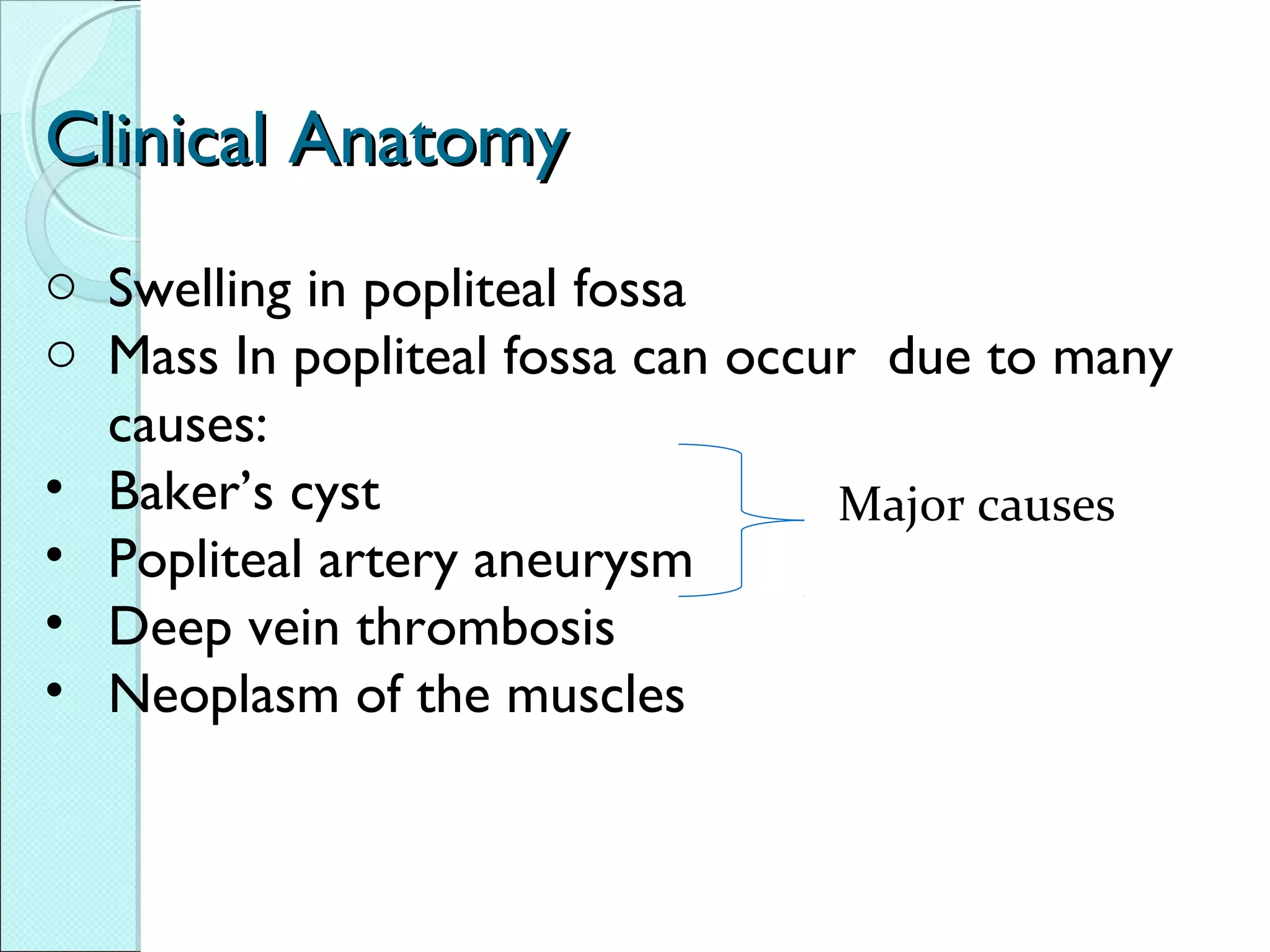 Applied anatomy of adductor canal and popliteal fossa | PPT