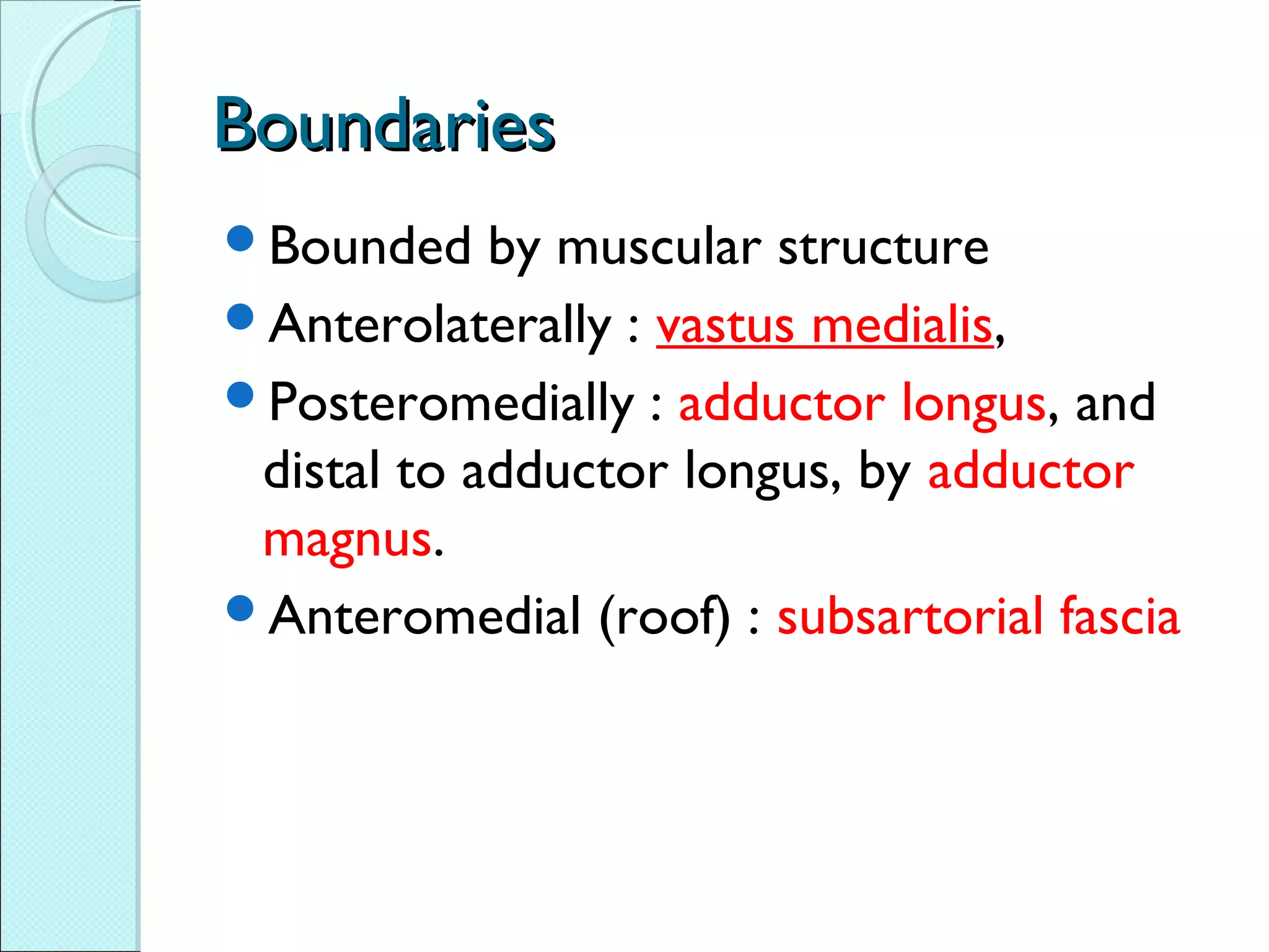 Applied anatomy of adductor canal and popliteal fossa | PPT