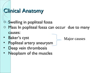 Applied anatomy of adductor canal and popliteal fossa | PPT