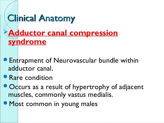 Applied Anatomy Of Adductor Canal And Popliteal Fossa