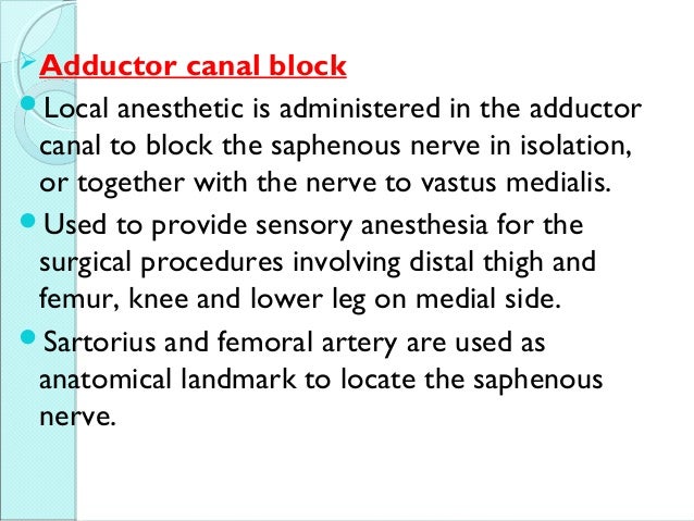Applied Anatomy Of Adductor Canal And Popliteal Fossa