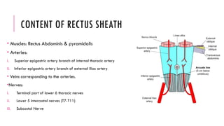 Applied anatomy of anterior abdominal wall.pptx