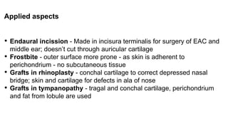 Applied anatomy of external ear | PPTX