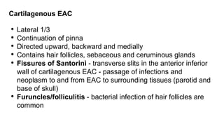 Applied anatomy of external ear | PPTX