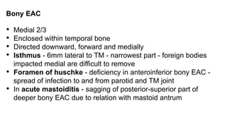 Applied anatomy of external ear | PPTX