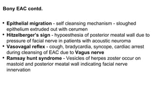 Applied anatomy of external ear | PPTX