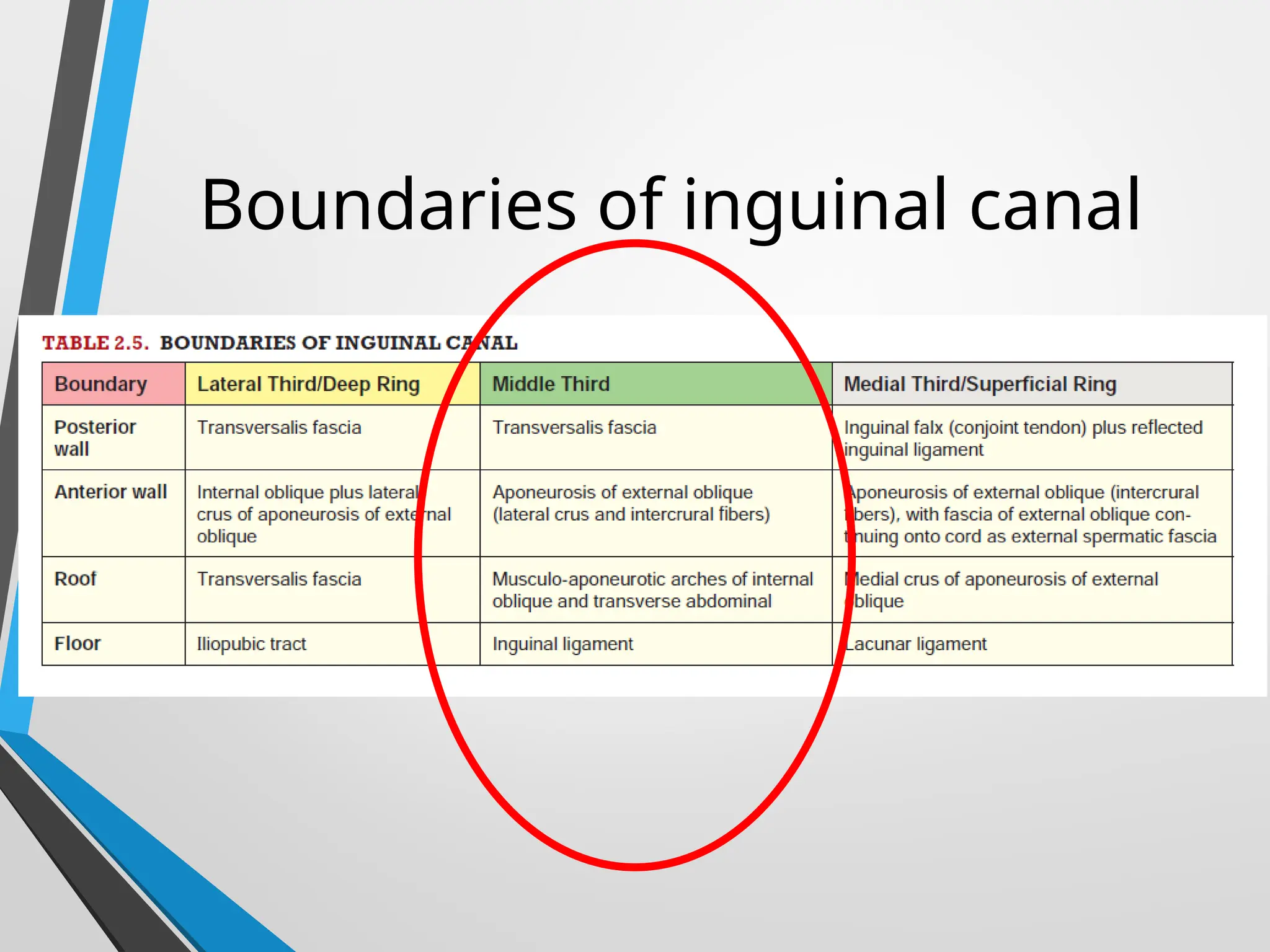 Applied anatomy of inguinal hernias.pptx