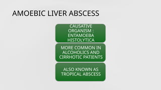 APPLIED ANATOMY OF LIVER AND LIVER ABSCESS (2).pptx