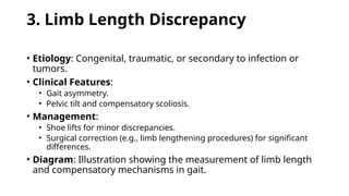 Applied Anatomy of the Lower Limb-JTM.pptx