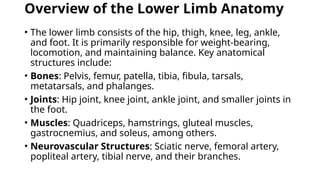 Applied Anatomy of the Lower Limb-JTM.pptx