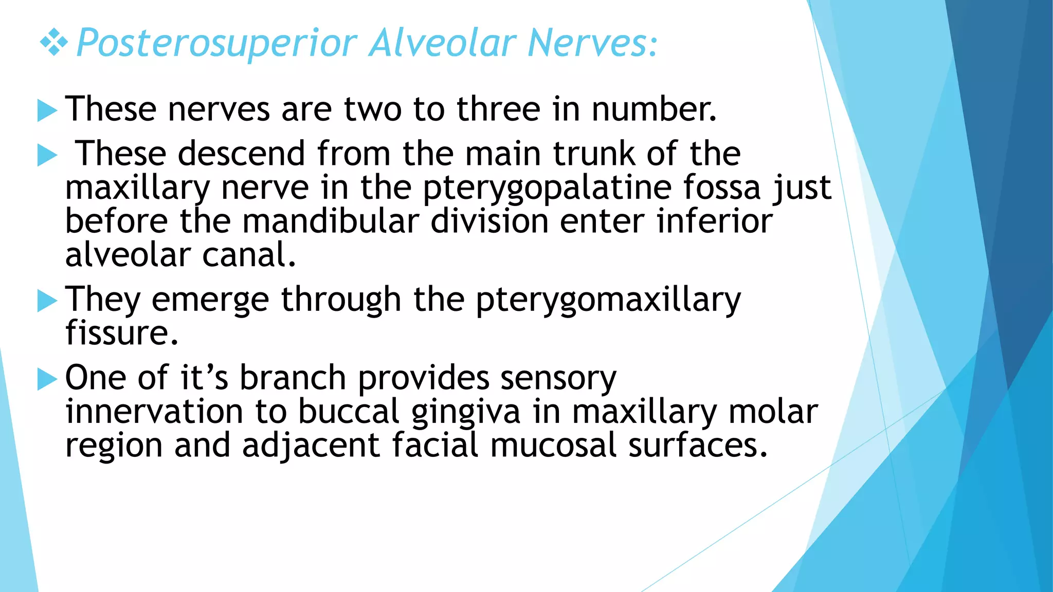 Applied anatomy of maxillary nerve | PPTX