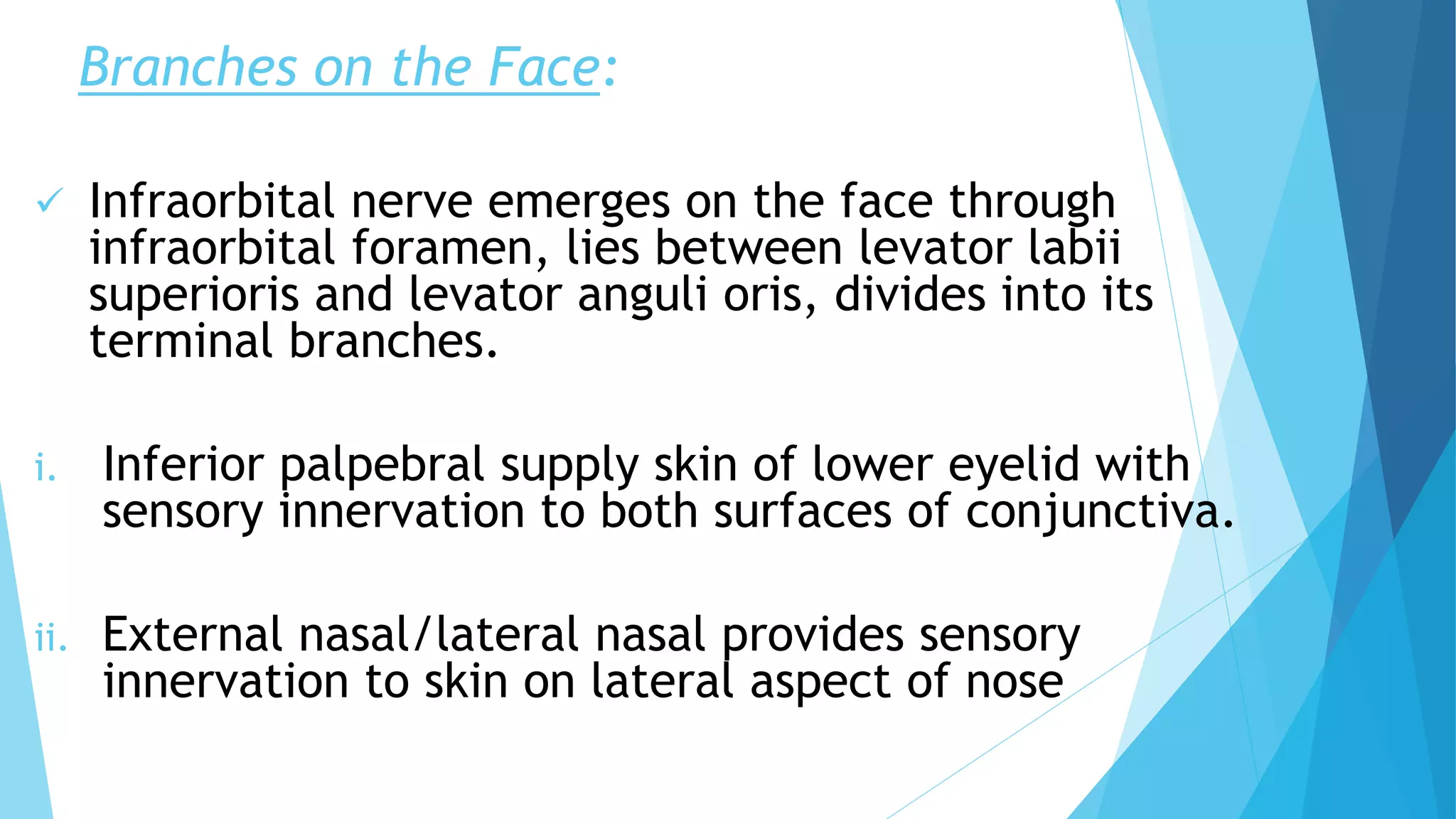 Applied anatomy of maxillary nerve | PPTX