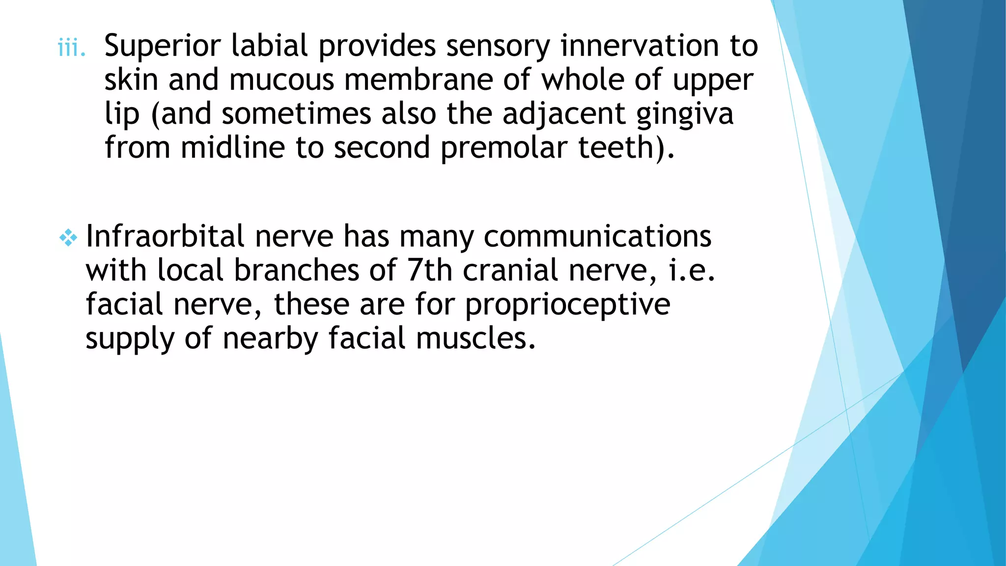 Applied anatomy of maxillary nerve | PPTX