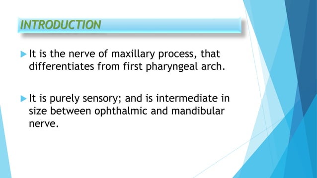 Applied anatomy of maxillary nerve | PPTX