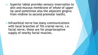 Applied anatomy of maxillary nerve | PPTX