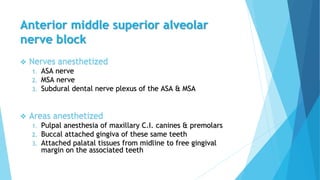 Applied anatomy of maxillary nerve | PPTX