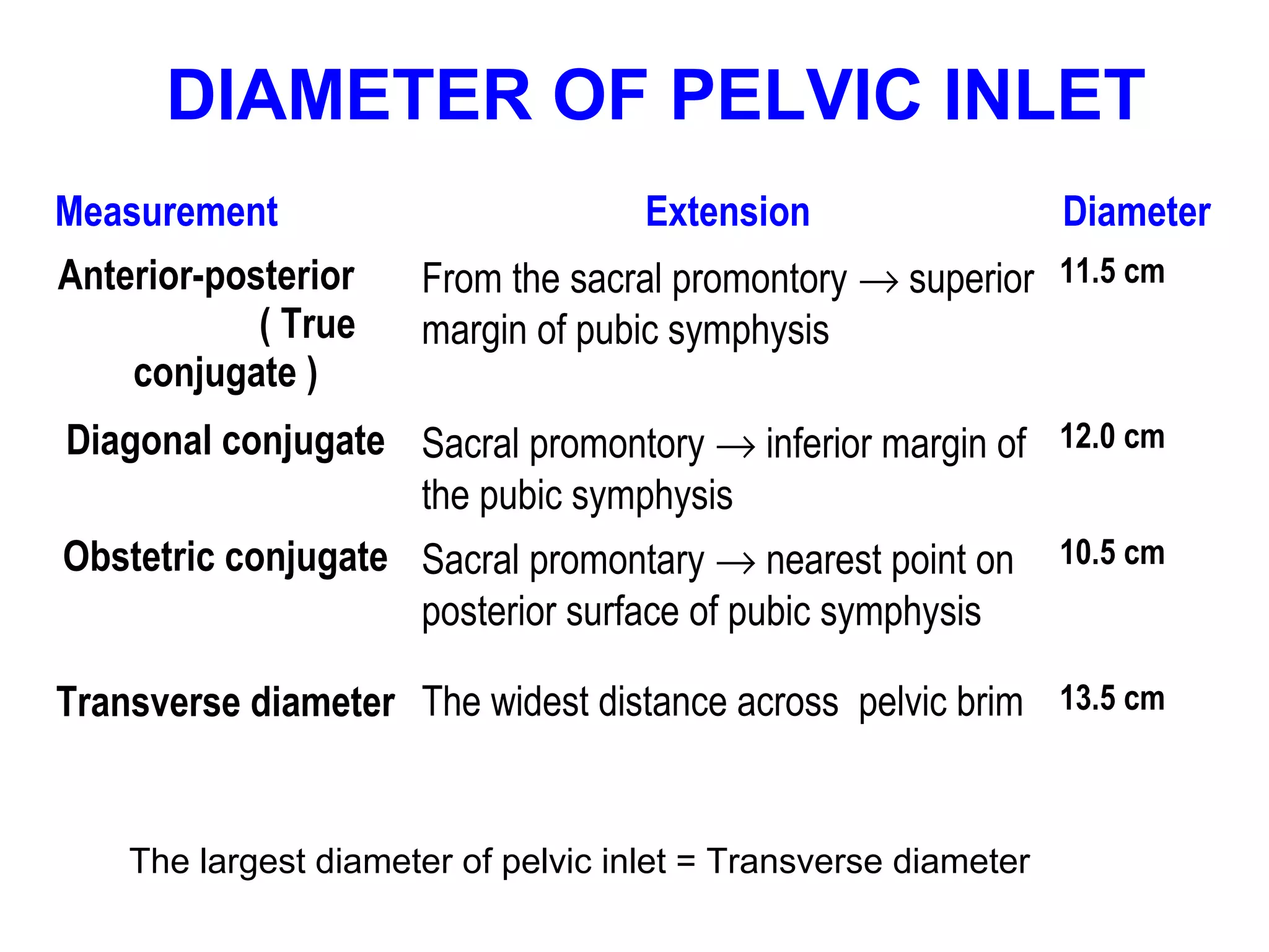 Applied anatomy of pelvis and fetal skull | PPT