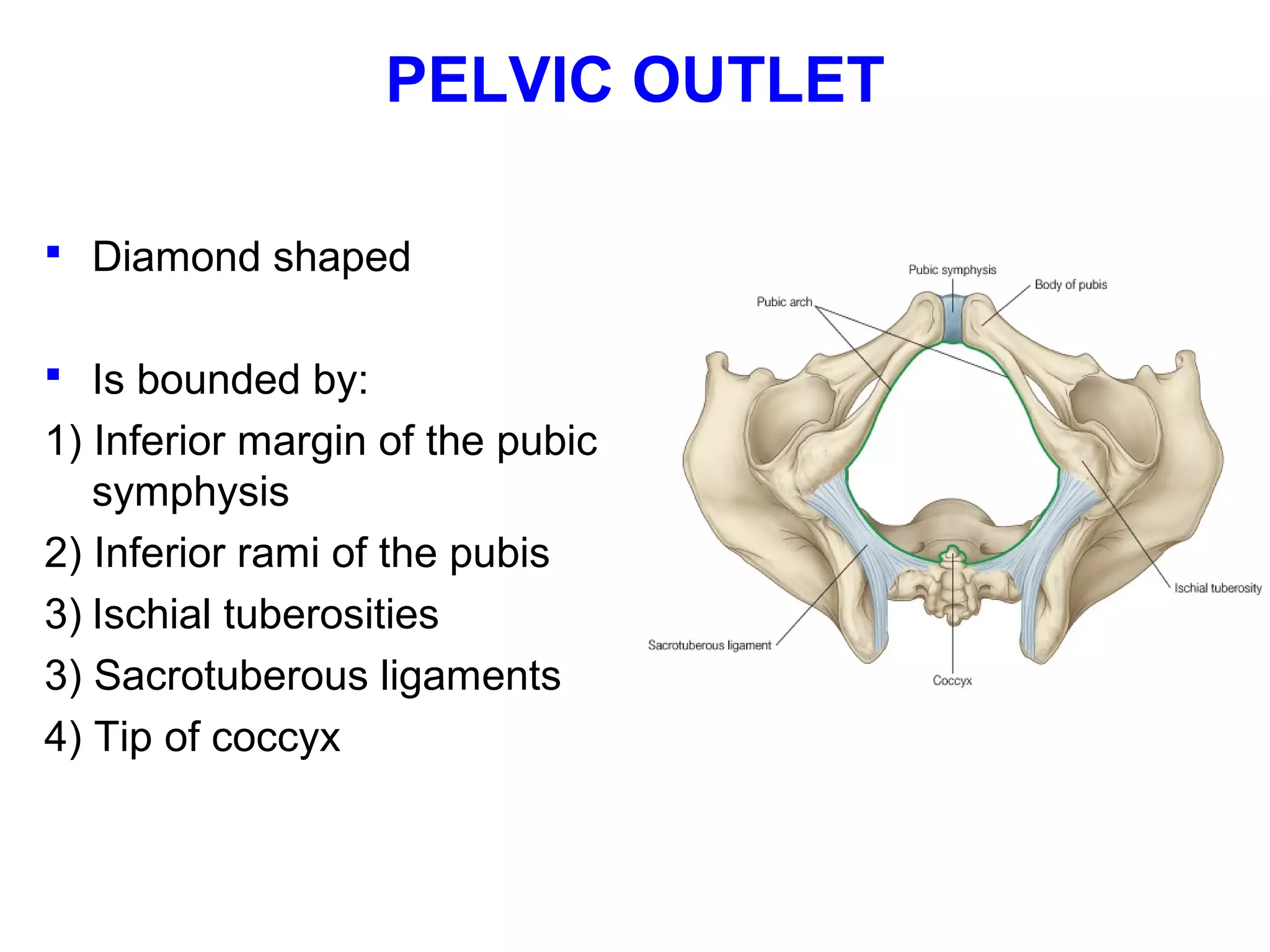 Applied anatomy of pelvis and fetal skull | PPT