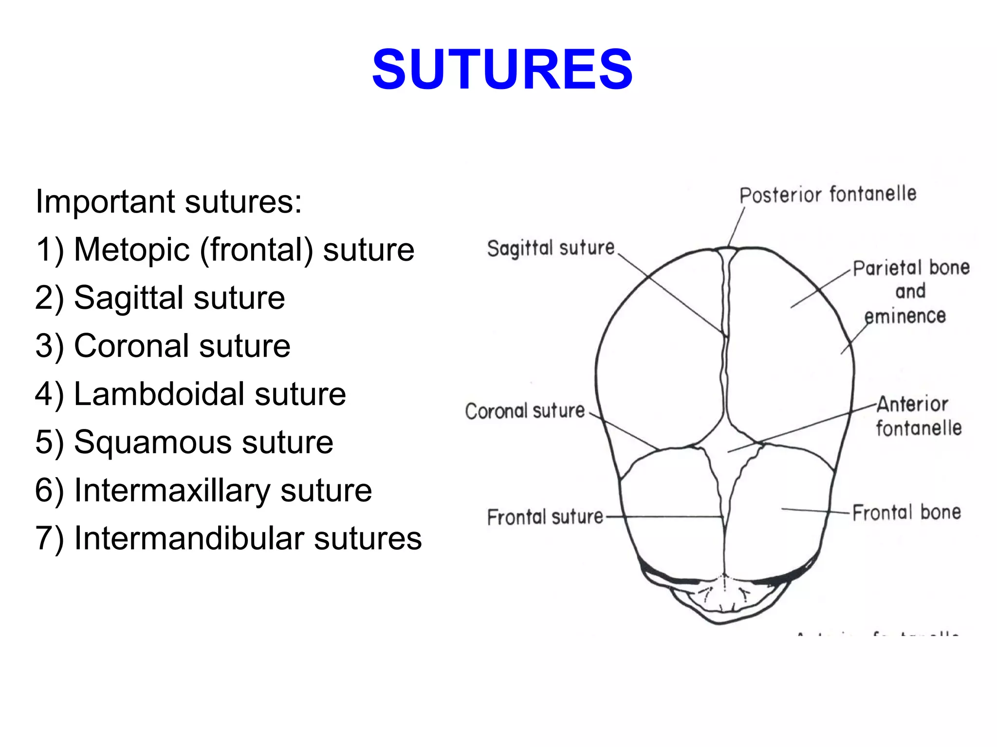 Applied anatomy of pelvis and fetal skull | PPT