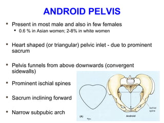 Applied anatomy of pelvis and fetal skull | PPT