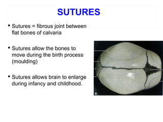 Applied anatomy of pelvis and fetal skull | PPT