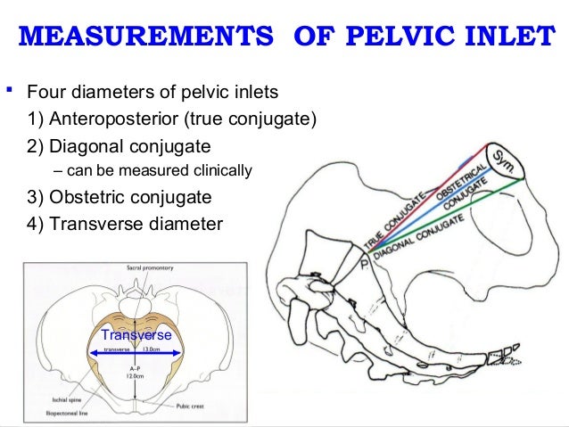 Applied anatomy of pelvis and fetal skull