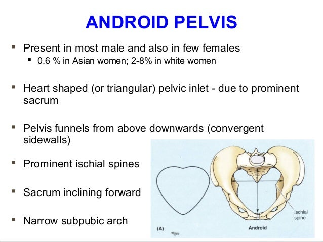 Applied anatomy of pelvis and fetal skull