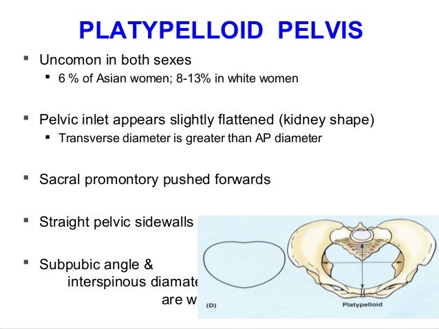 Applied anatomy of pelvis and fetal skull